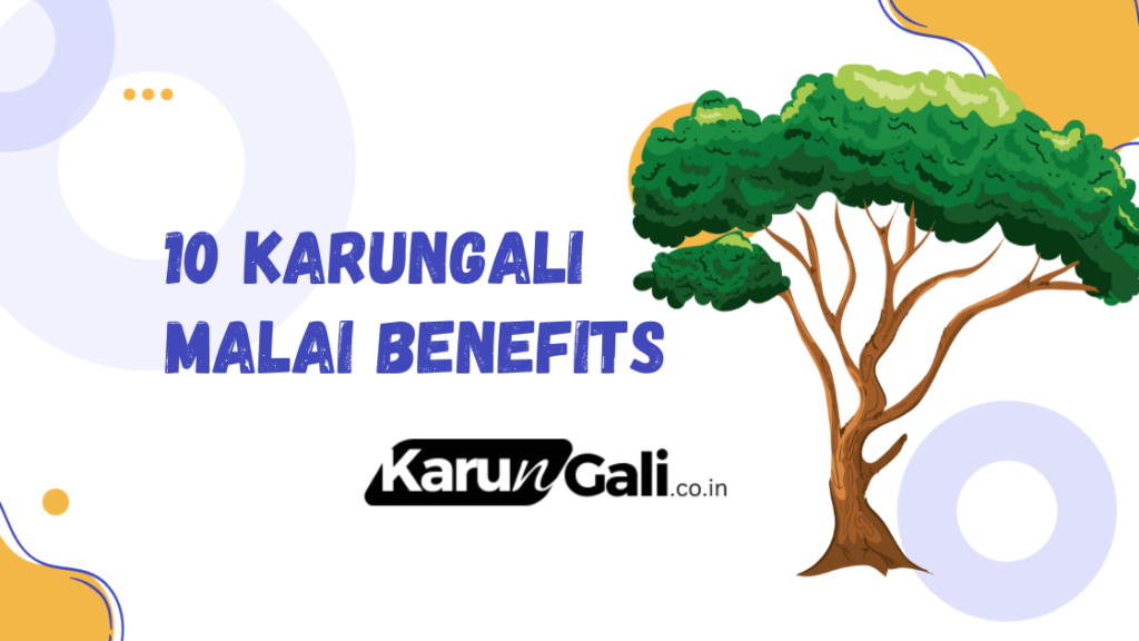 10 Karungali Malai Benefits - Karungali Malai